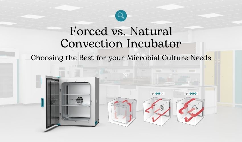 Blog | JeioTech manufacturer of Lab Companion
